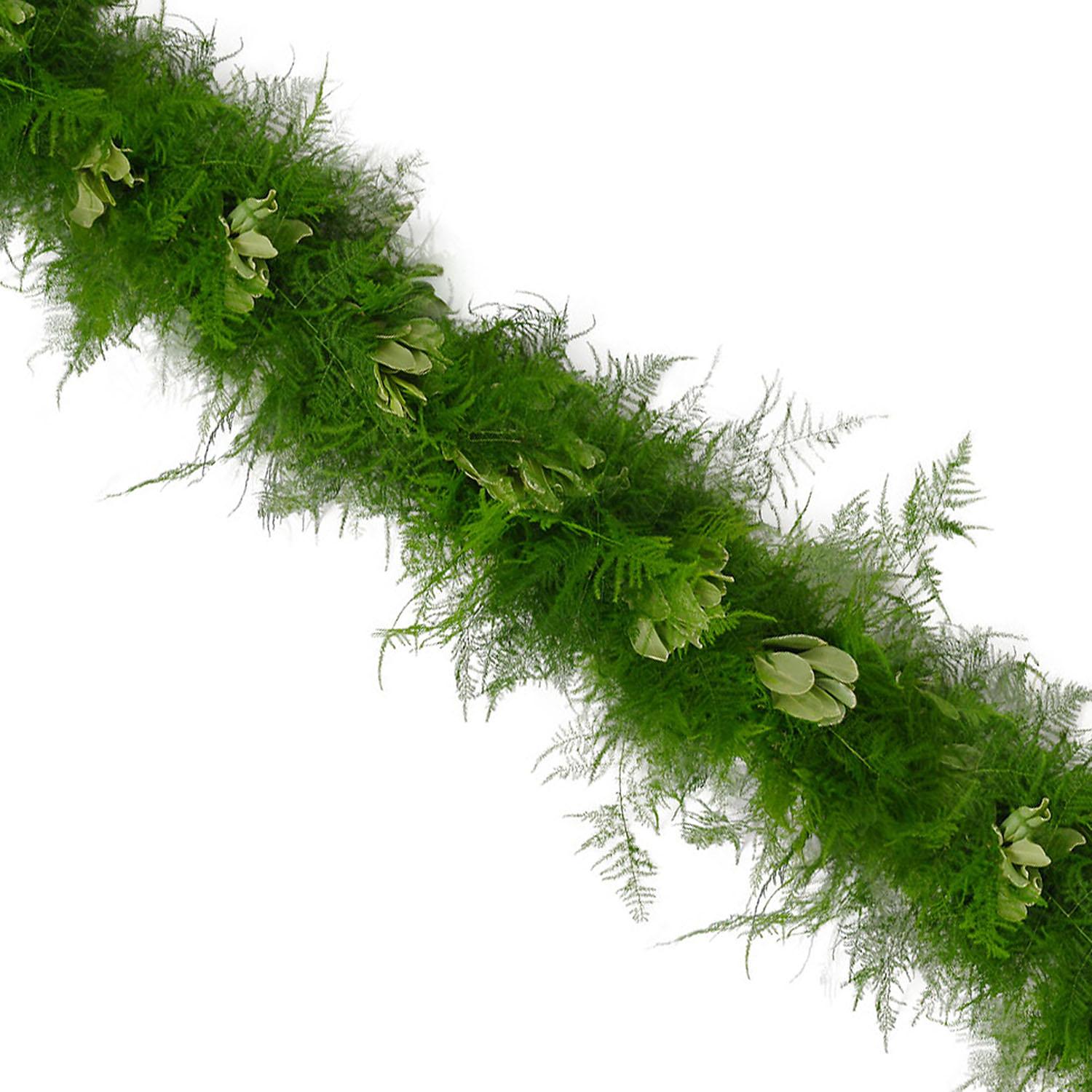 Product Gallery - Shawlake Farms