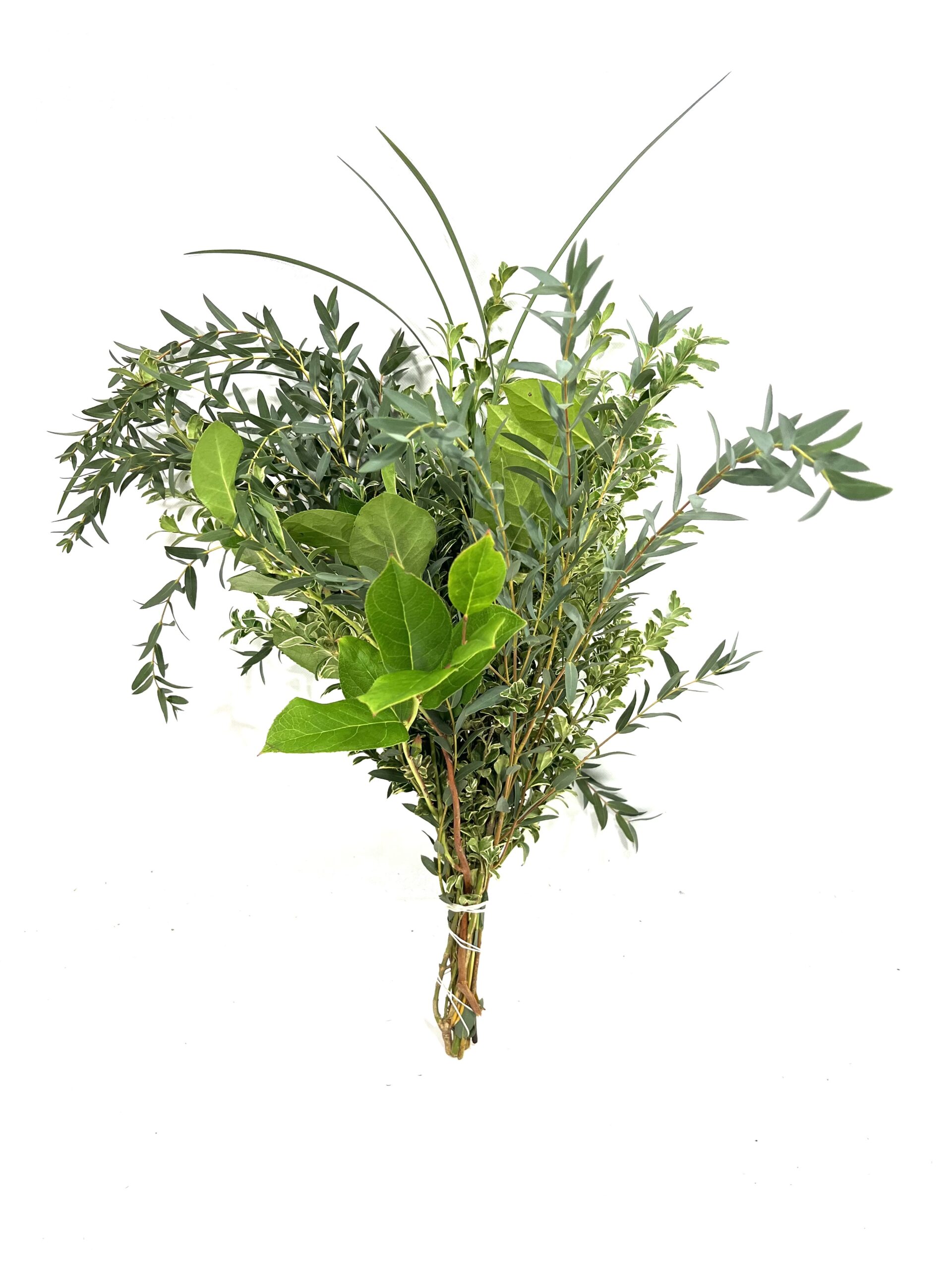 Our Products - Fresh Garlands, Greenery & Foliage